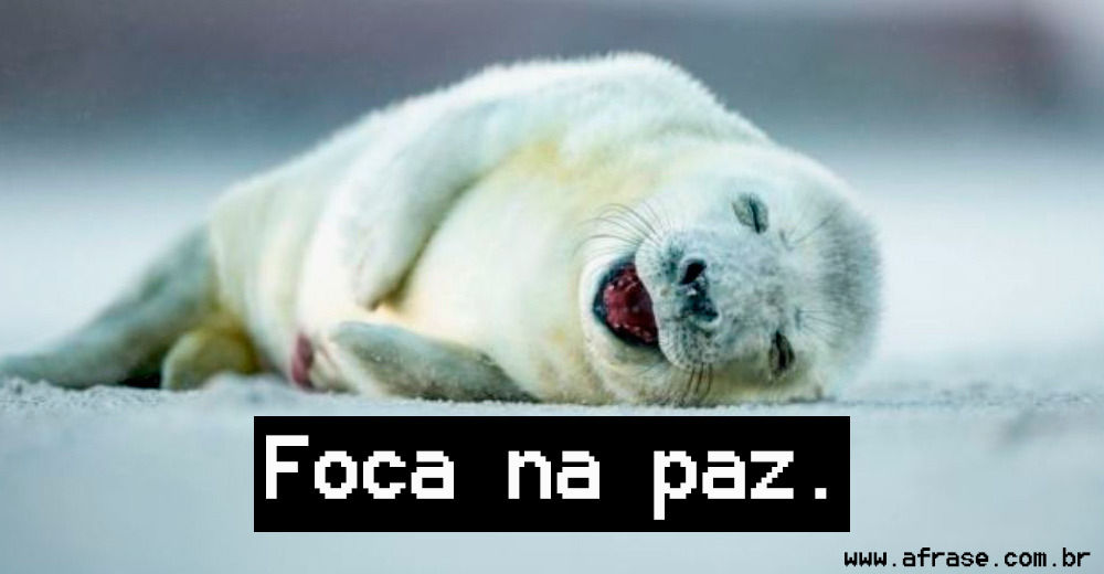 A Frase - Foca
